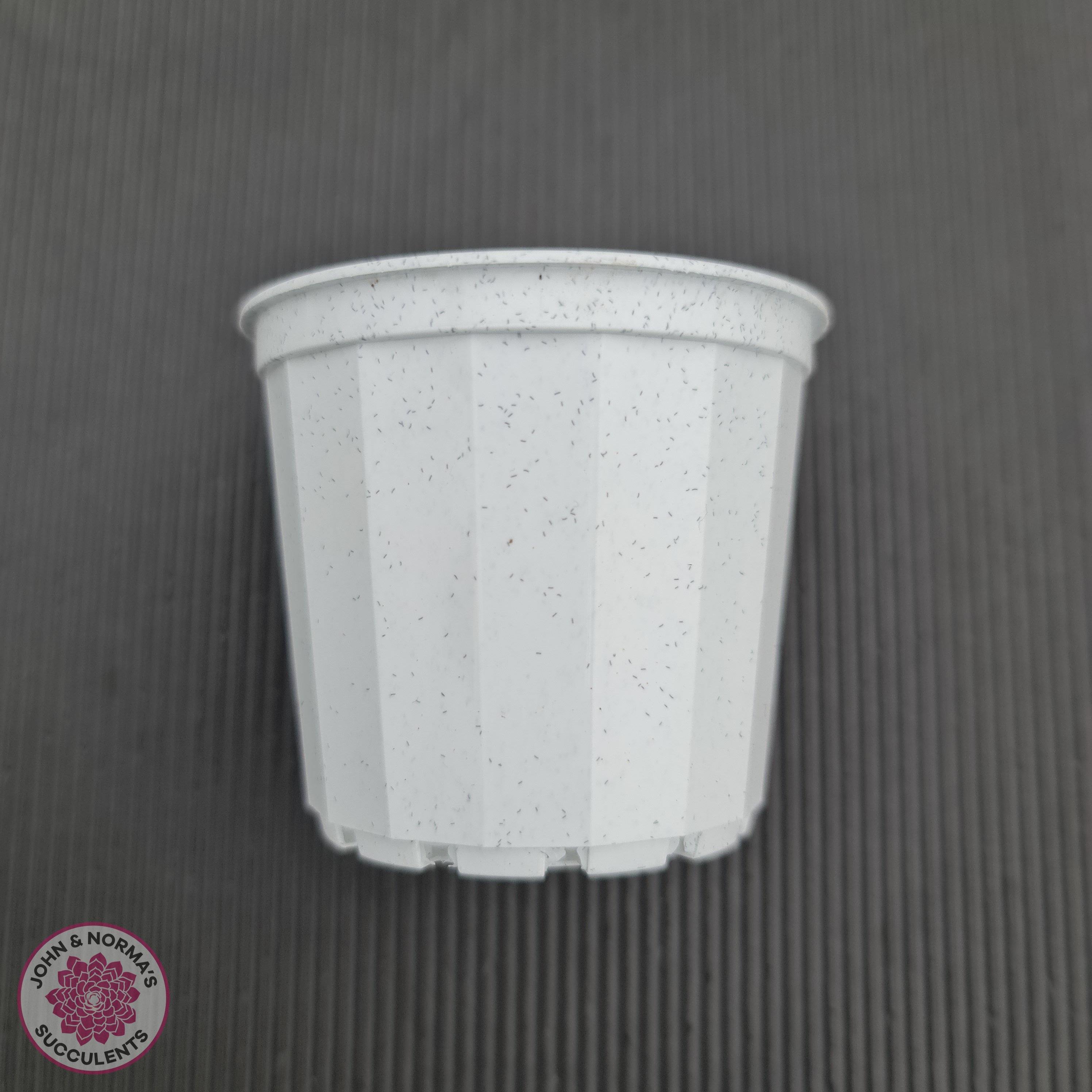 Succulent Pots, Labels & Accesories | John & Norma's Succulents – John ...